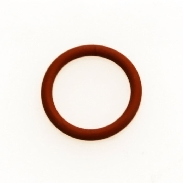 Turbosmart WG Valve Guide O Ring – VUDU Performance